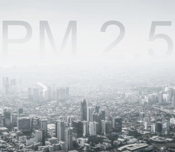 How PM2.5 Affects Your Health: Sources and Effects – INKBIRD